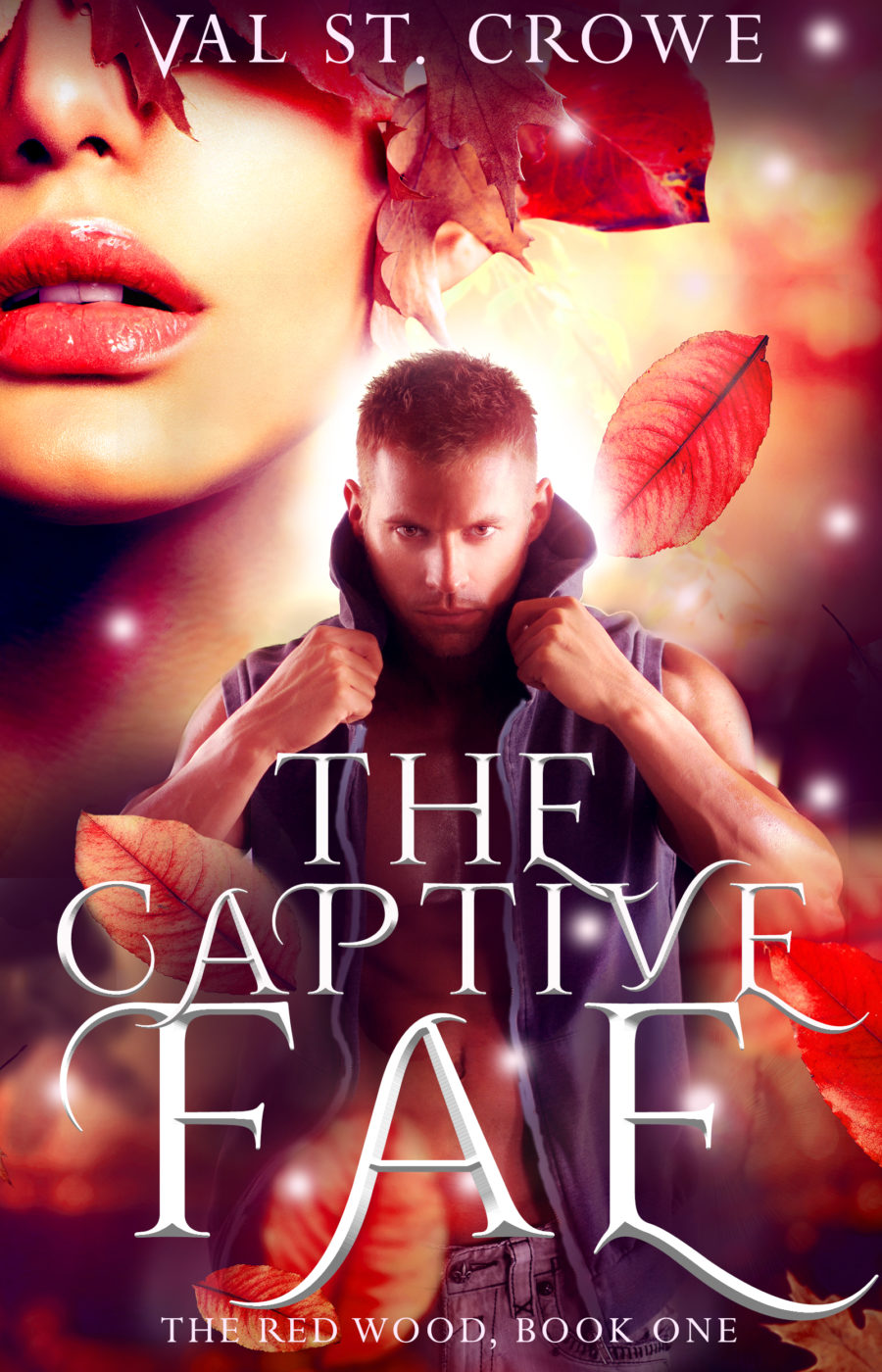The Captive Fae (The Red Wood, Book One) – V. J. Chambers et al